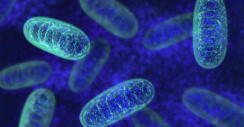 A Noble Path – NM Magazine