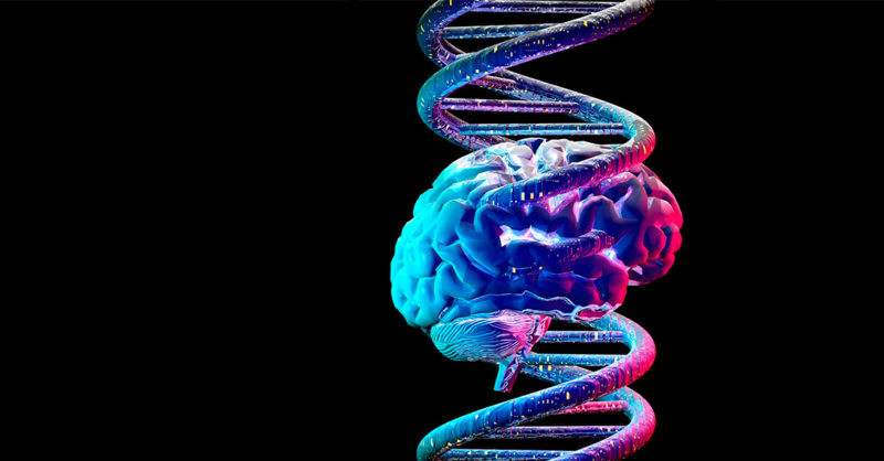 Tracing Back – NM Magazine