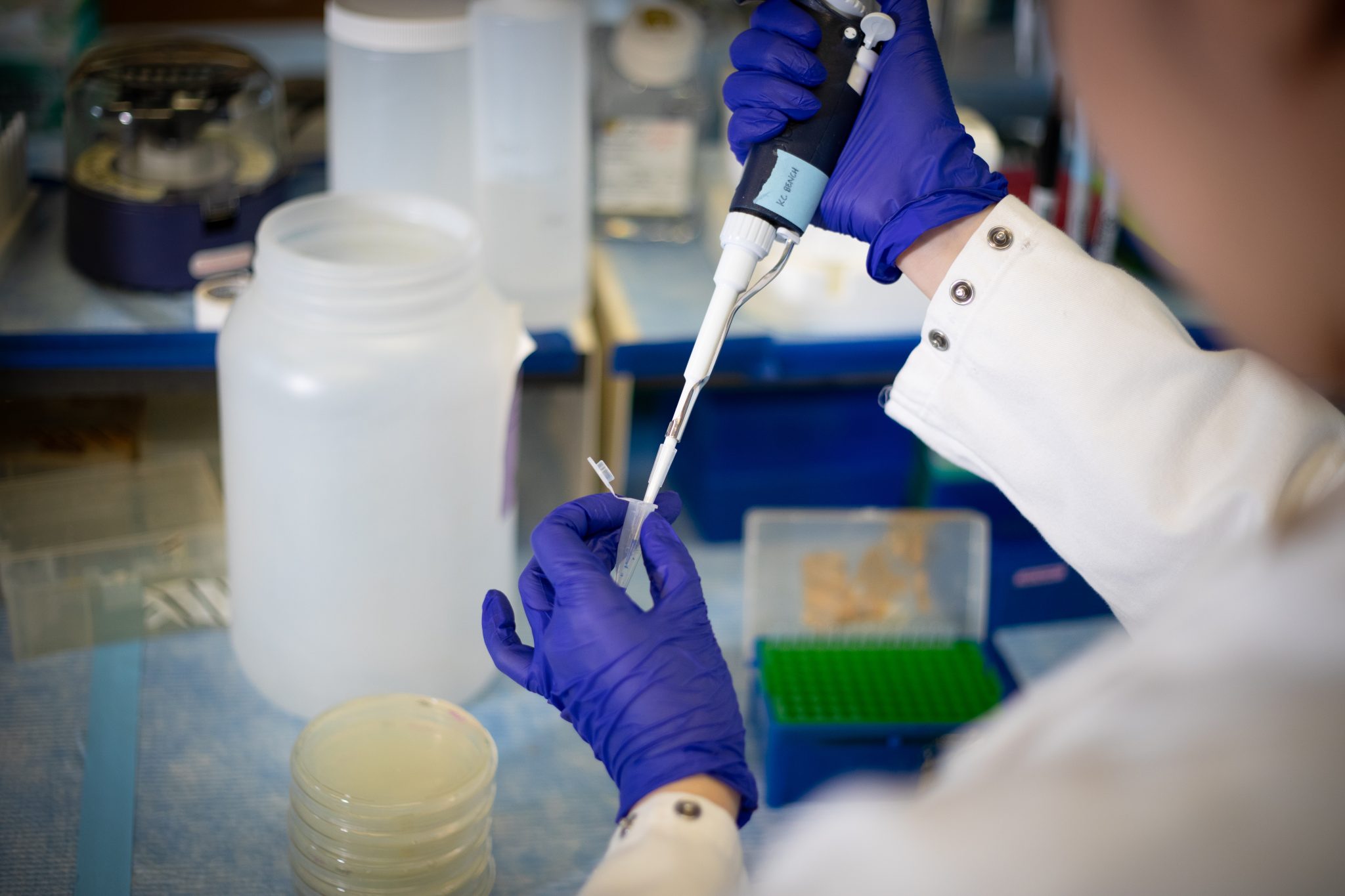 Maximizing the Power of T-cells - NM Magazine